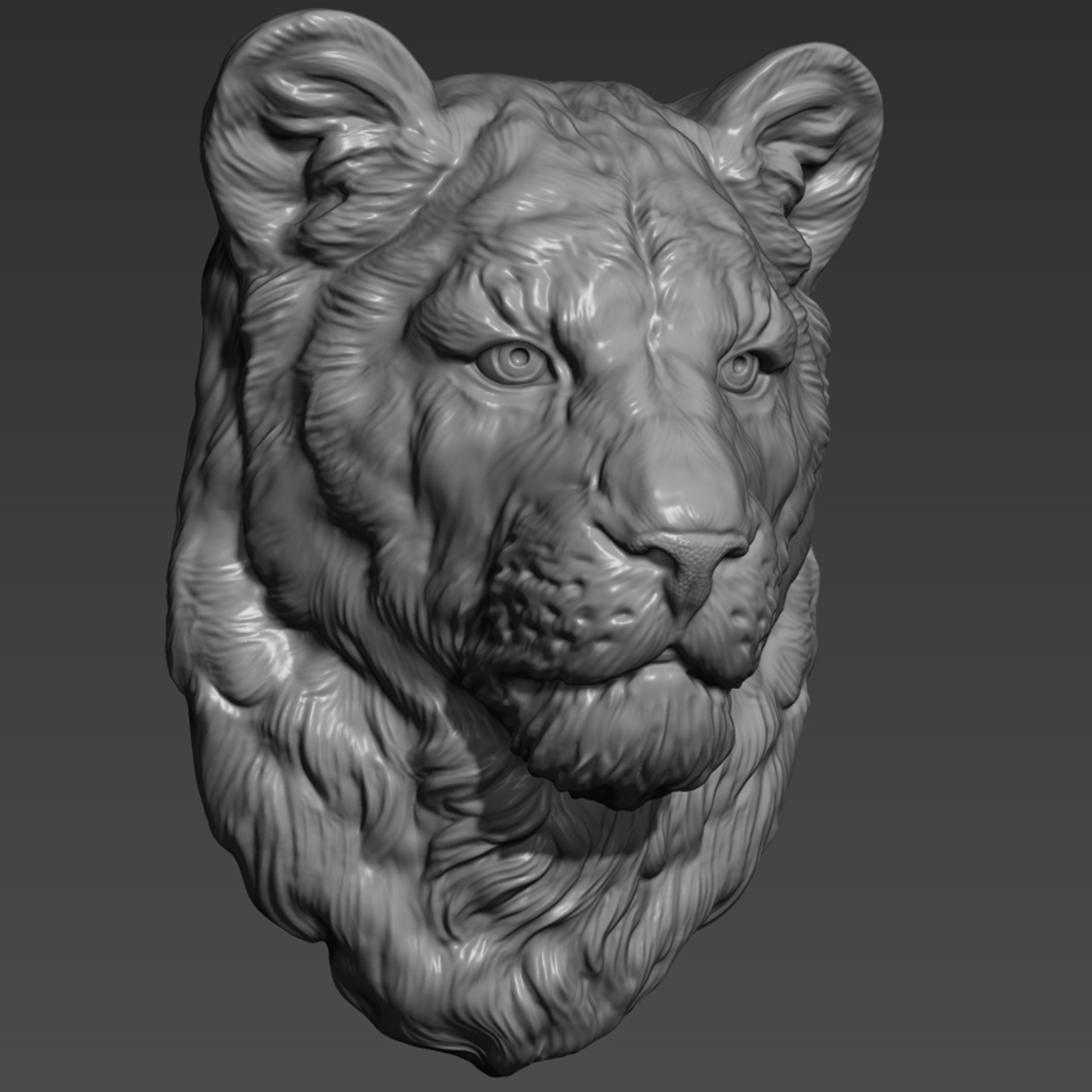 🎨 Lioness head・ STL File for ・Cults