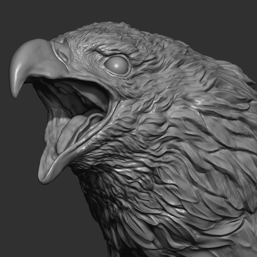 👨‍🦲 Bald Eagle head・ STL File for ・Cults