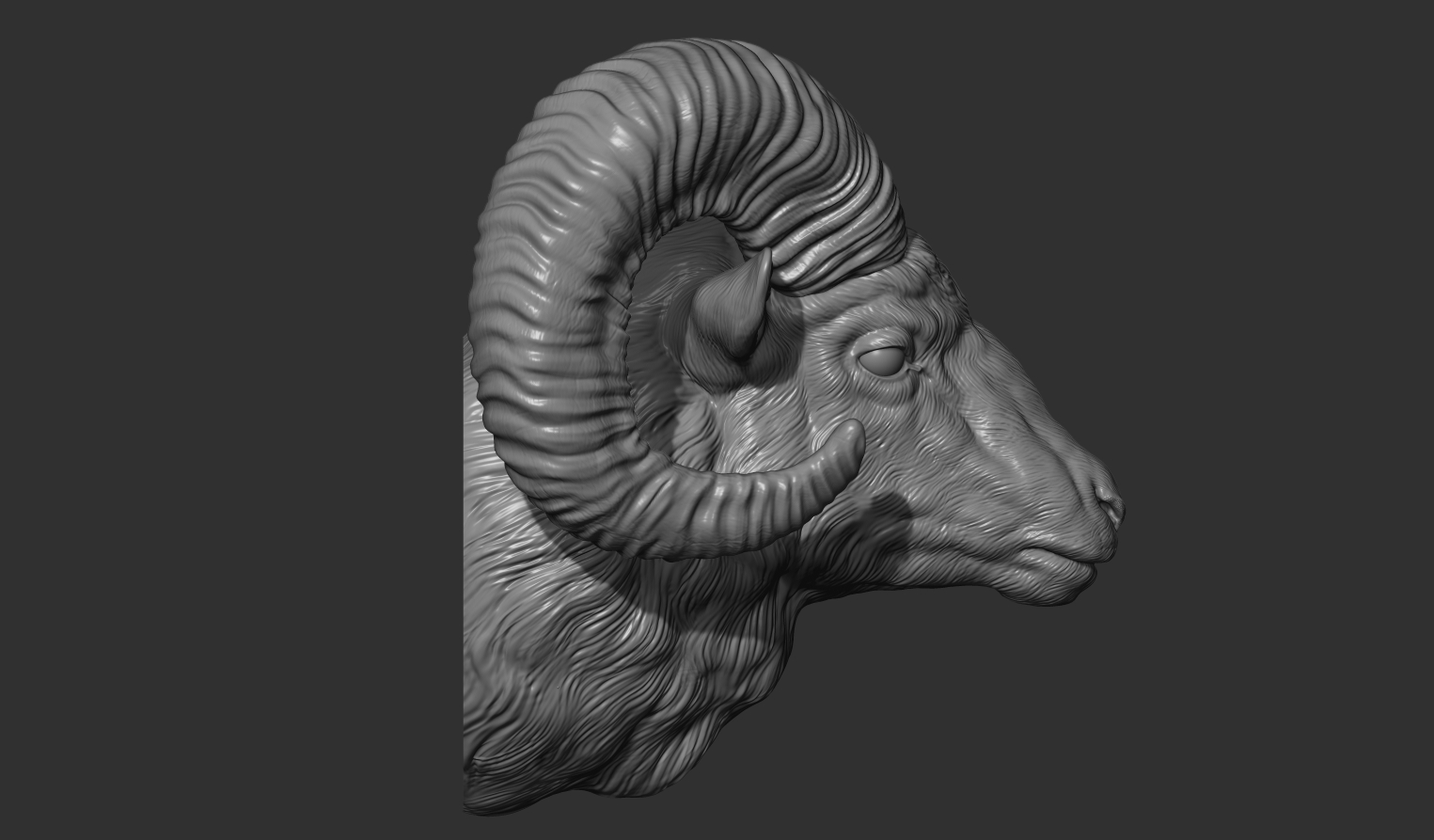 🐏 Big Horned Ram head・ STL File for ・Cults