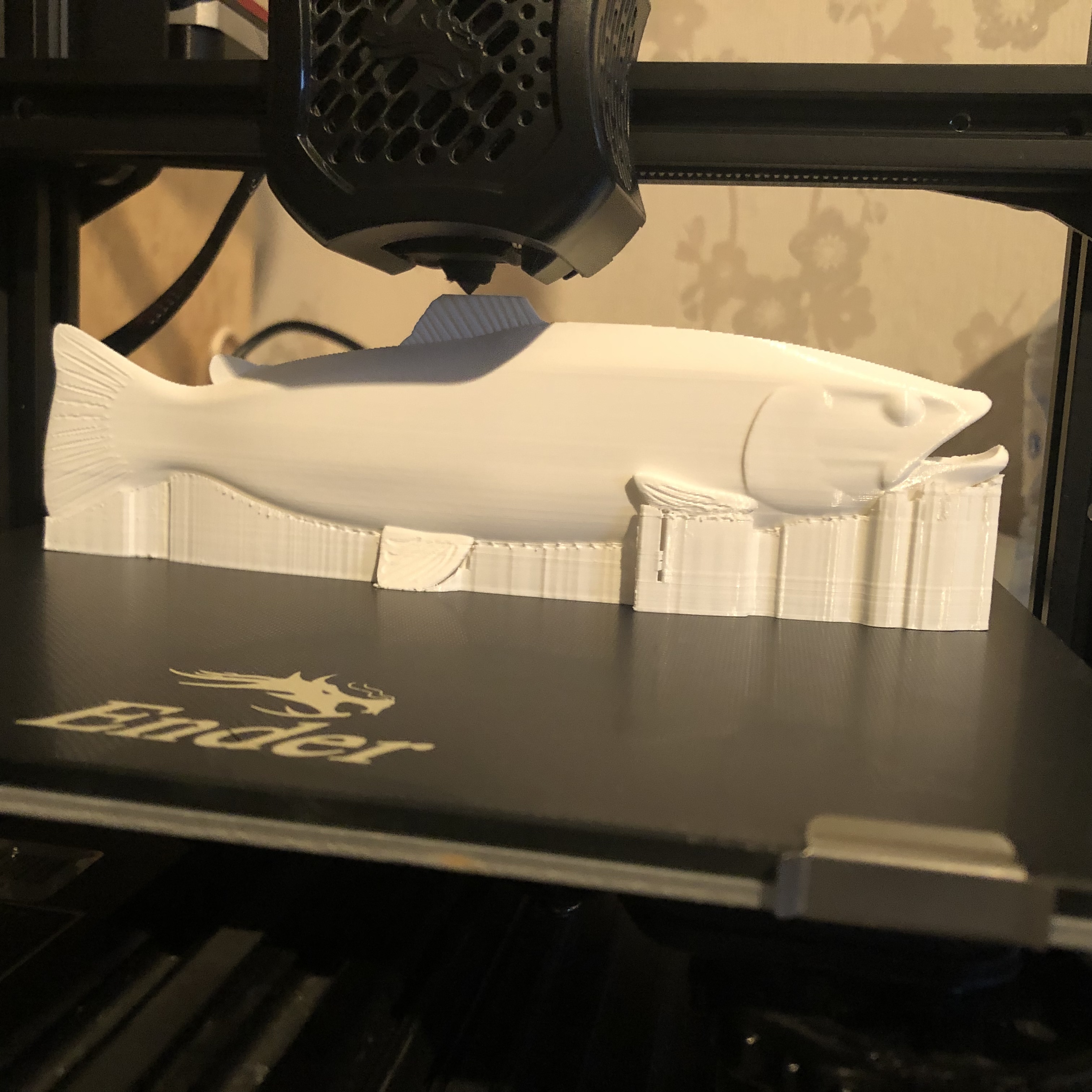 🐠 Brown Trout on (optional) pedestal・ STL File for ・Cults