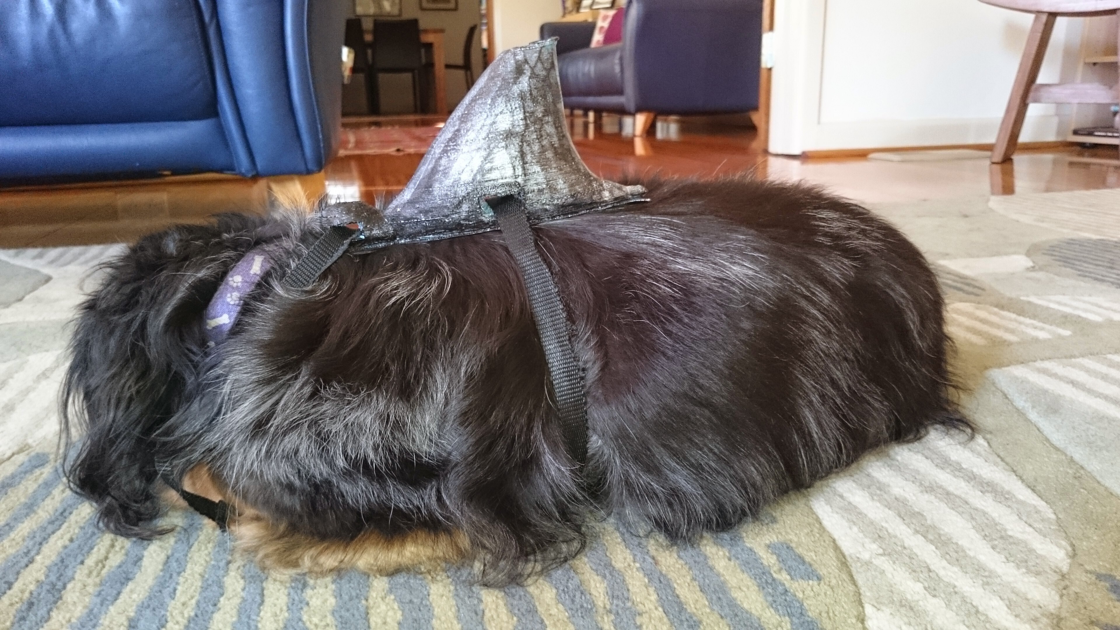 Shark Fin Hat For Dogs