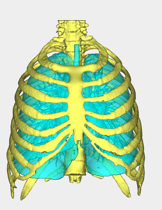 STL file Ribs with lungs 🫁・Design to download and 3D print・Cults