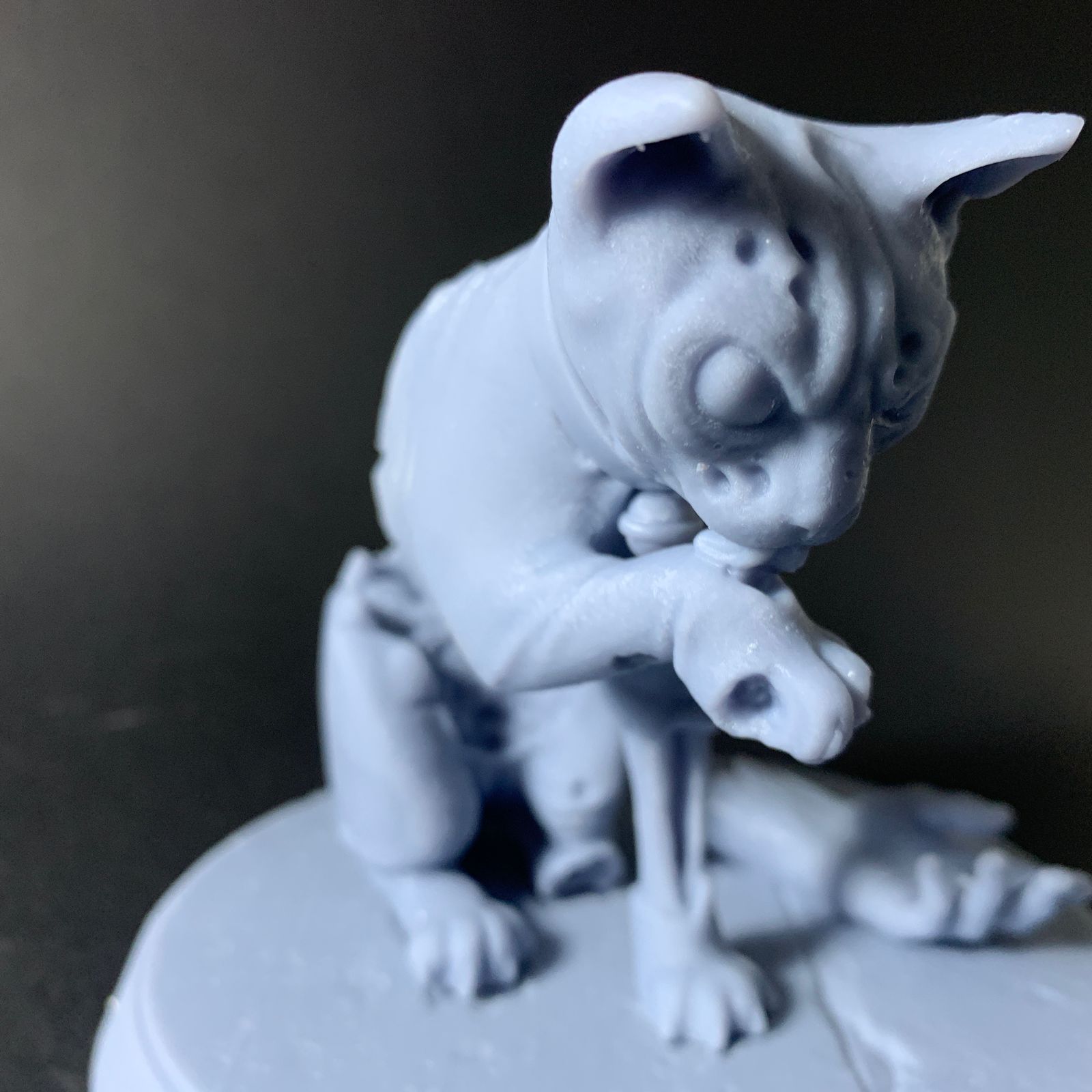 arquivo STL Lindo gato zombi 🐱 ・design para impressão 3D para download ...