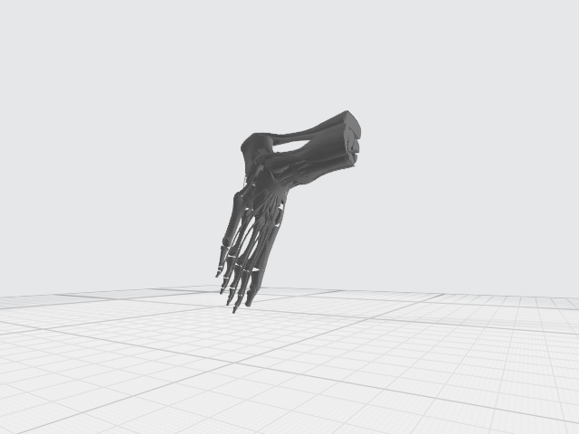 STL file Skeleton Foot 💀 ・3D printer design to download・Cults