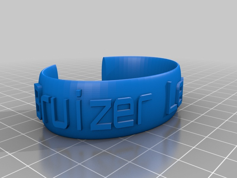 Free 3D file bruiser 💫 ・3D printing template to download・Cults