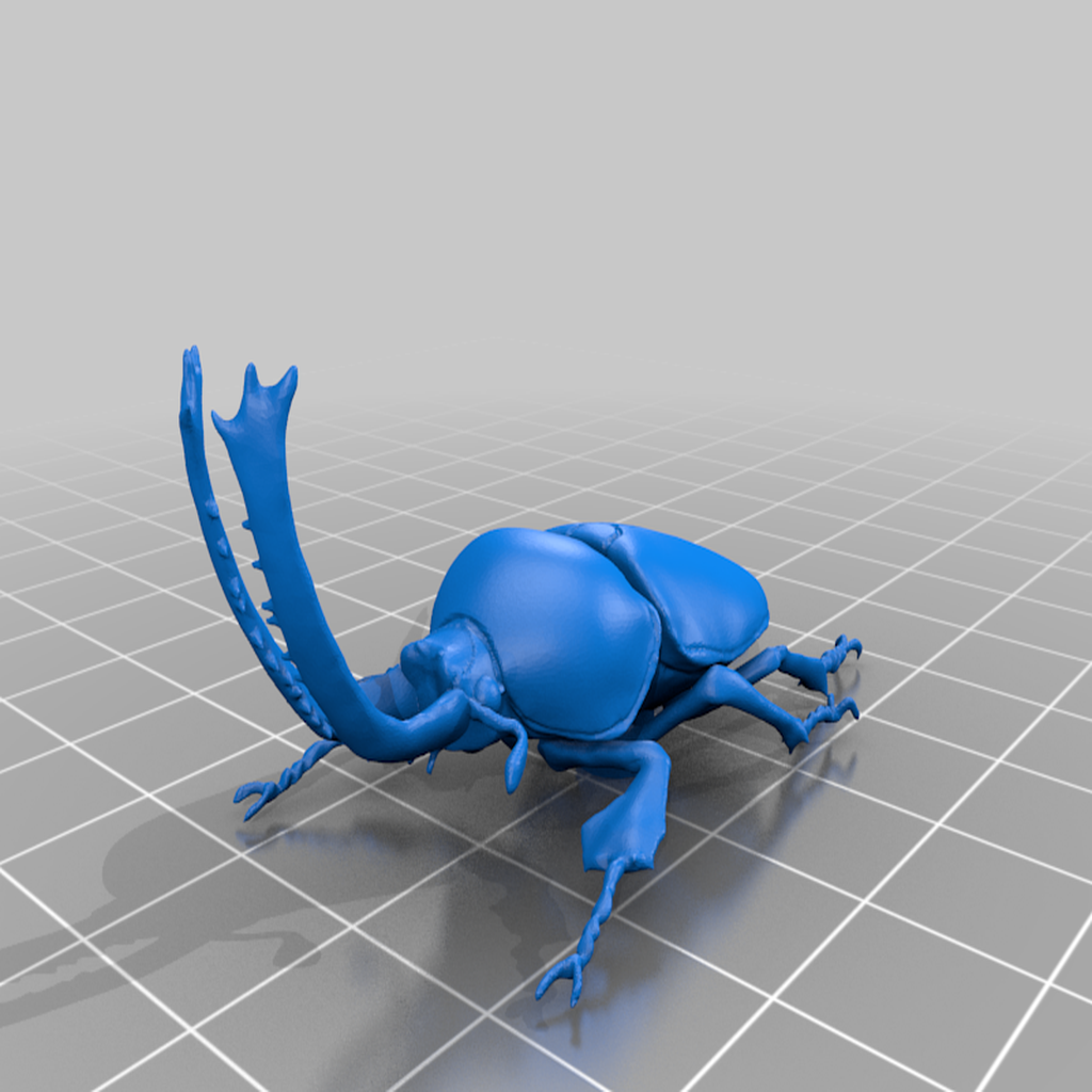 🧸 Lamprima adolphinae・Free STL File for ・Cults