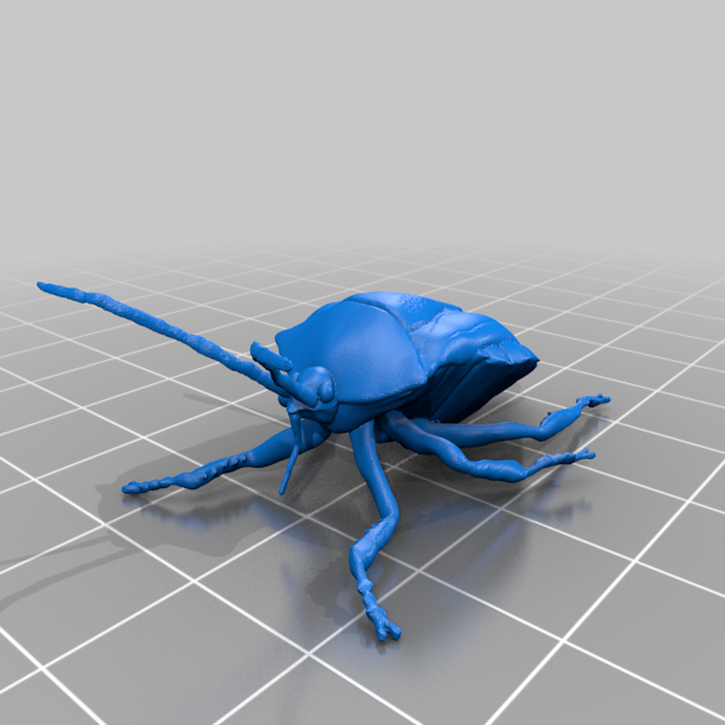 🛡️ Man Faced Shield Bug Catacanthus Incarnatus ・free Stl File For ・cults