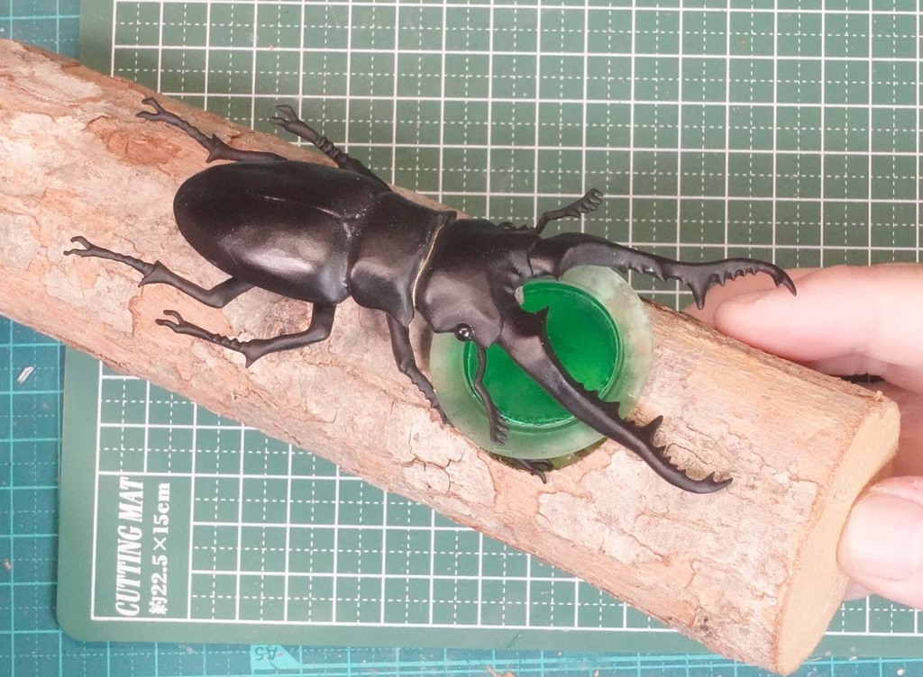 Free STL file Insect Jelly 🎲 ・3D printing design to download・Cults