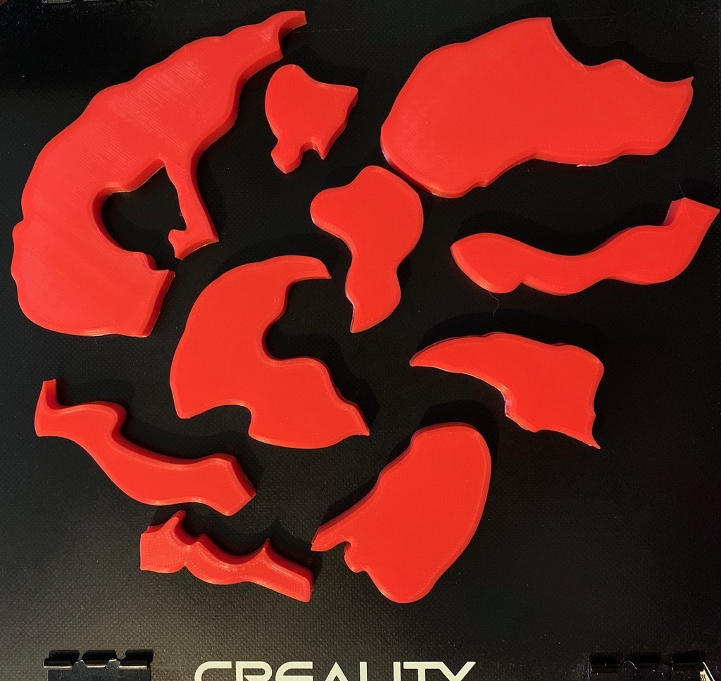 Free 3D file Brain Anatomy Puzzle 🧠・Model to download and 3D print・Cults