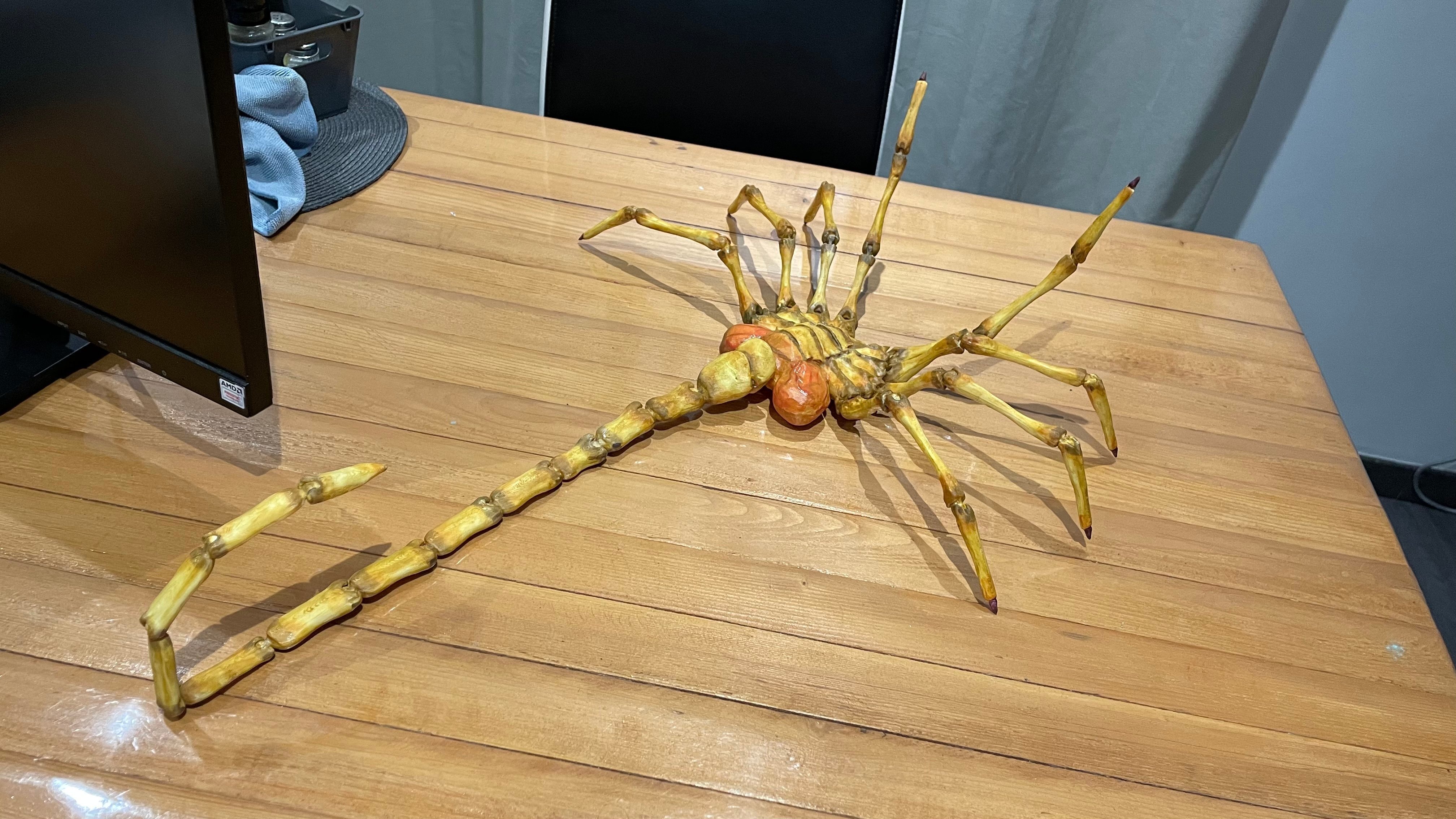 3D printing Agisis Ultimate Alien Face Hugger (40in x 23in - LIFE SIZE ...
