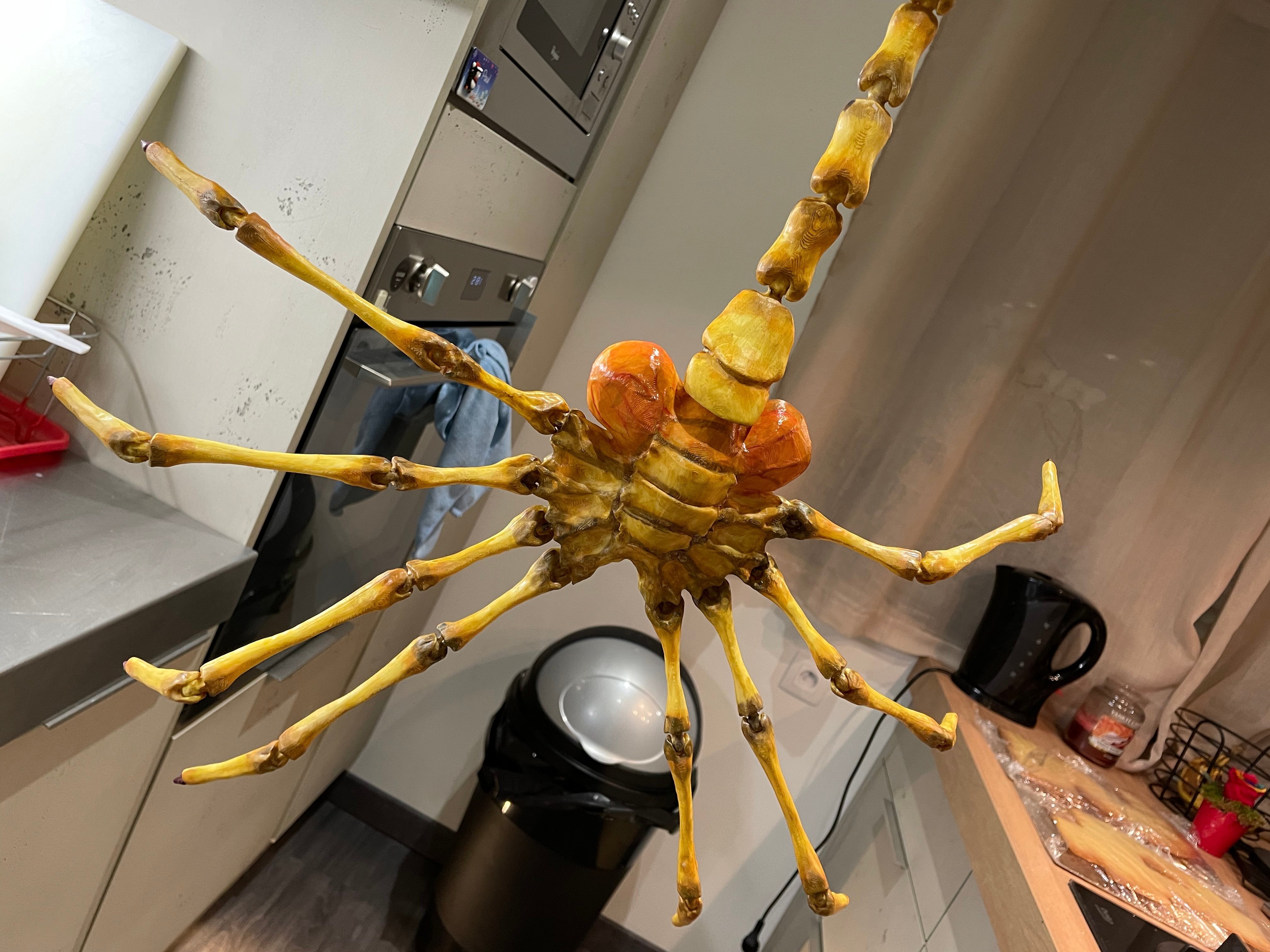 3D printing Agisis Ultimate Alien Face Hugger (40in x 23in - LIFE SIZE ...