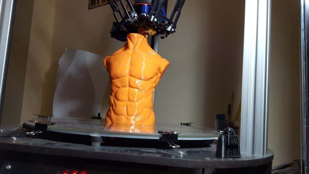 3D print Male Torso・Cults