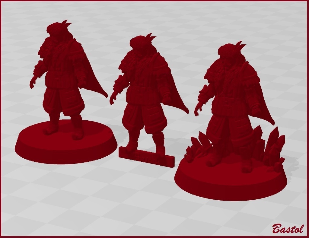 Free 3D file Blood Bowl - Kislev Coach / Witch / Apothecarie ...