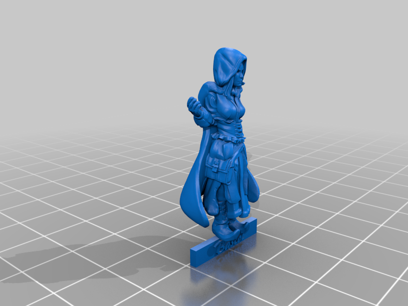 Free 3D file Blood Bowl - Kislev Coach / Witch / Apothecarie ...