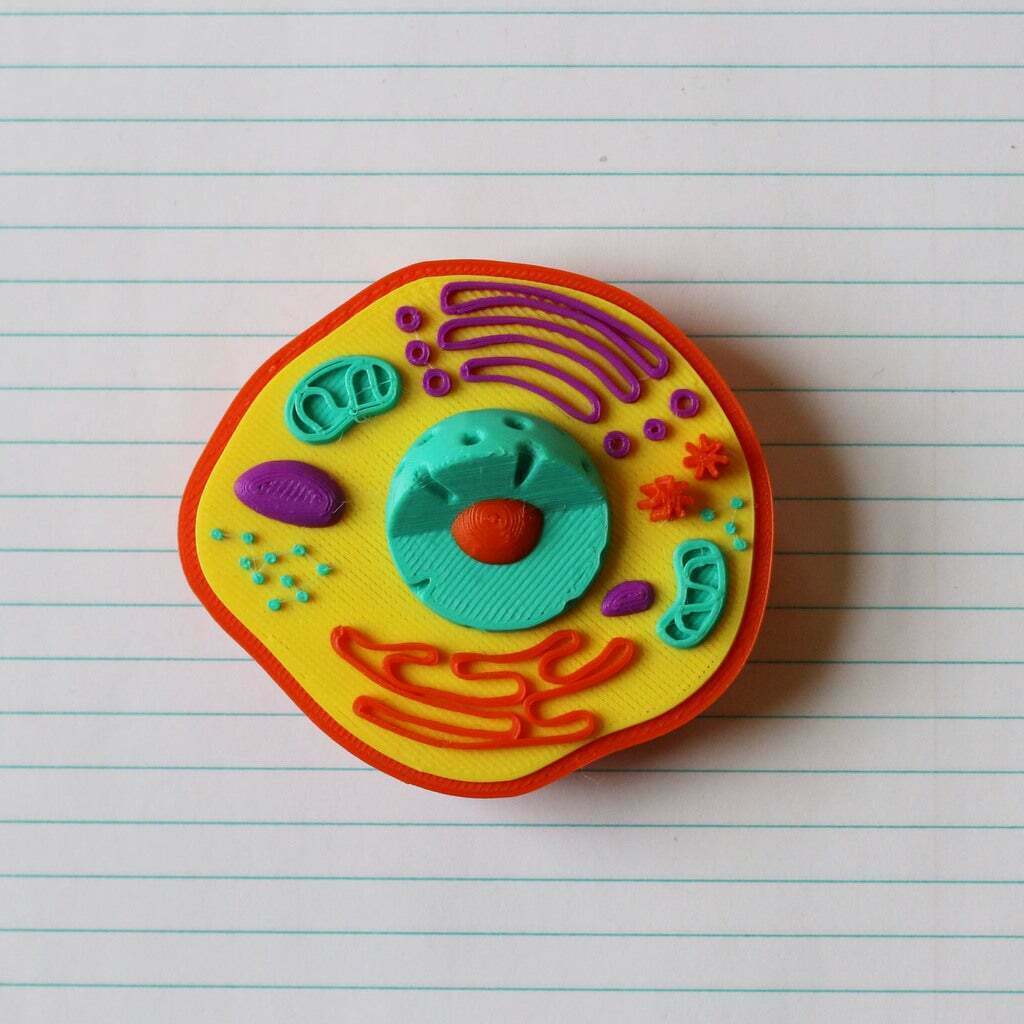 🎨 Multi-Color Mini Animal Cell・Free STL File for ・Cults