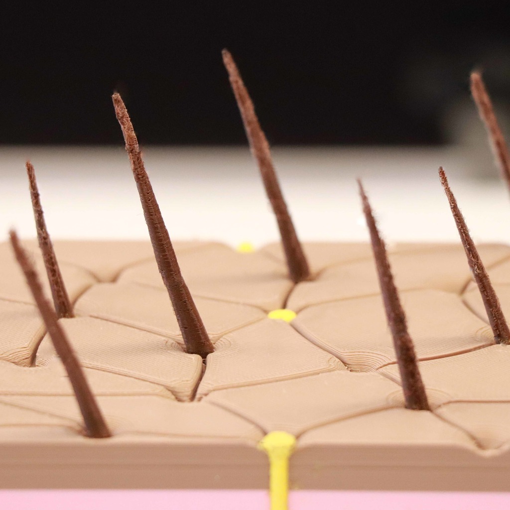 🧪 Integumentary System (Skin Model)・Free 3D File for ・Cults