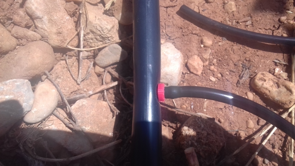 🏠 Conexión microtubos de 4 mm para riego / Micro tube connector 4mm for ...