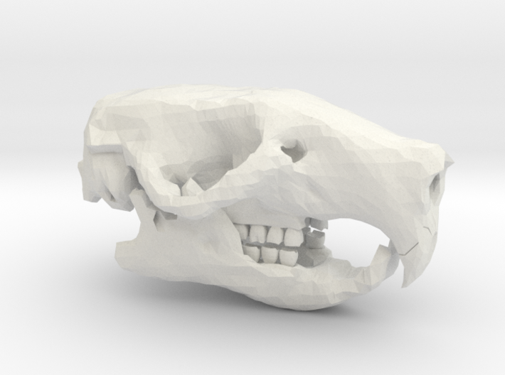 STL file Rat Skull 🐀 ・3D printable model to download・Cults