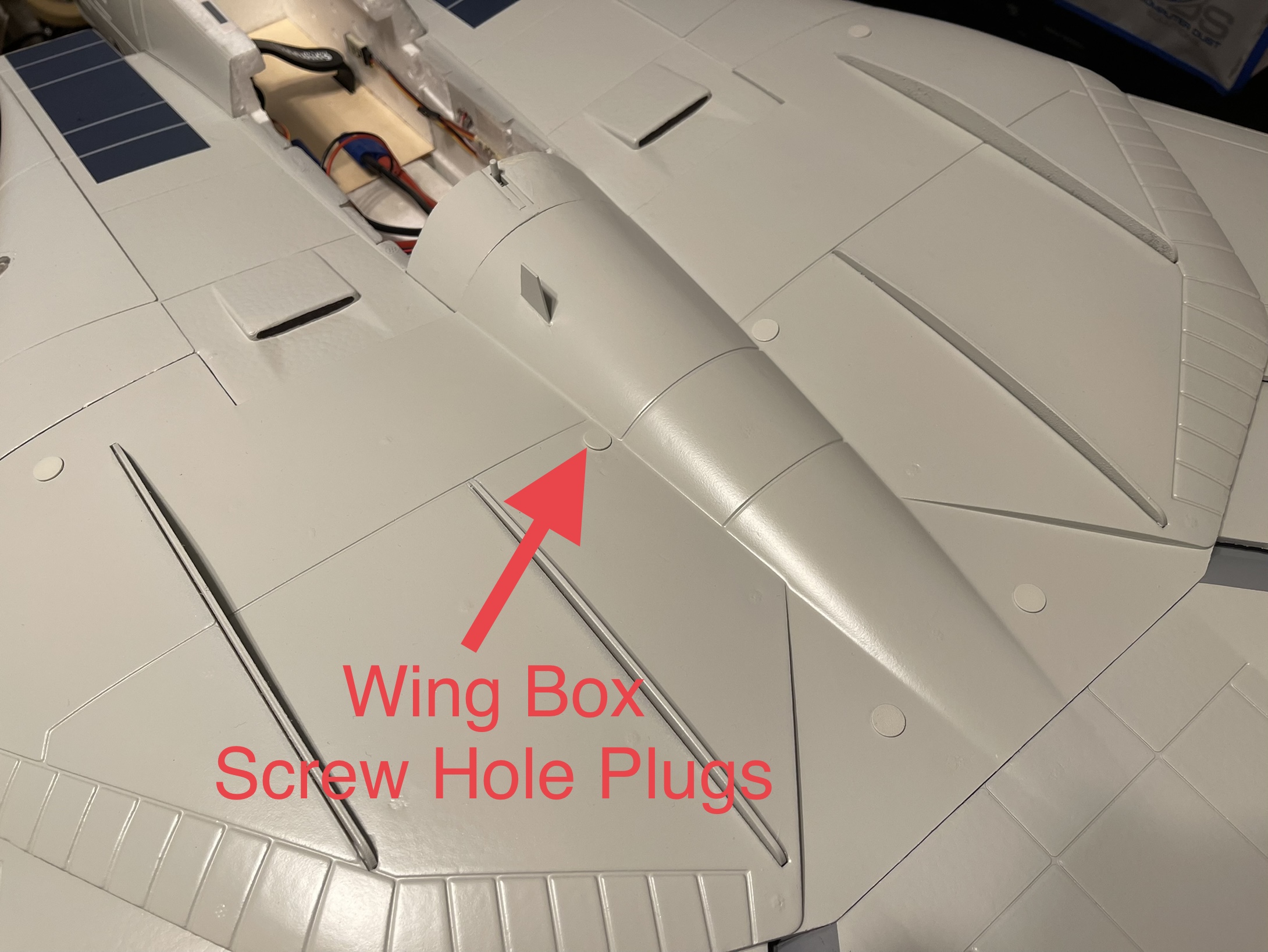 🪶 Wing Box Screw Hole Plugs for Freewing F-14・Free STL File for ・Cults