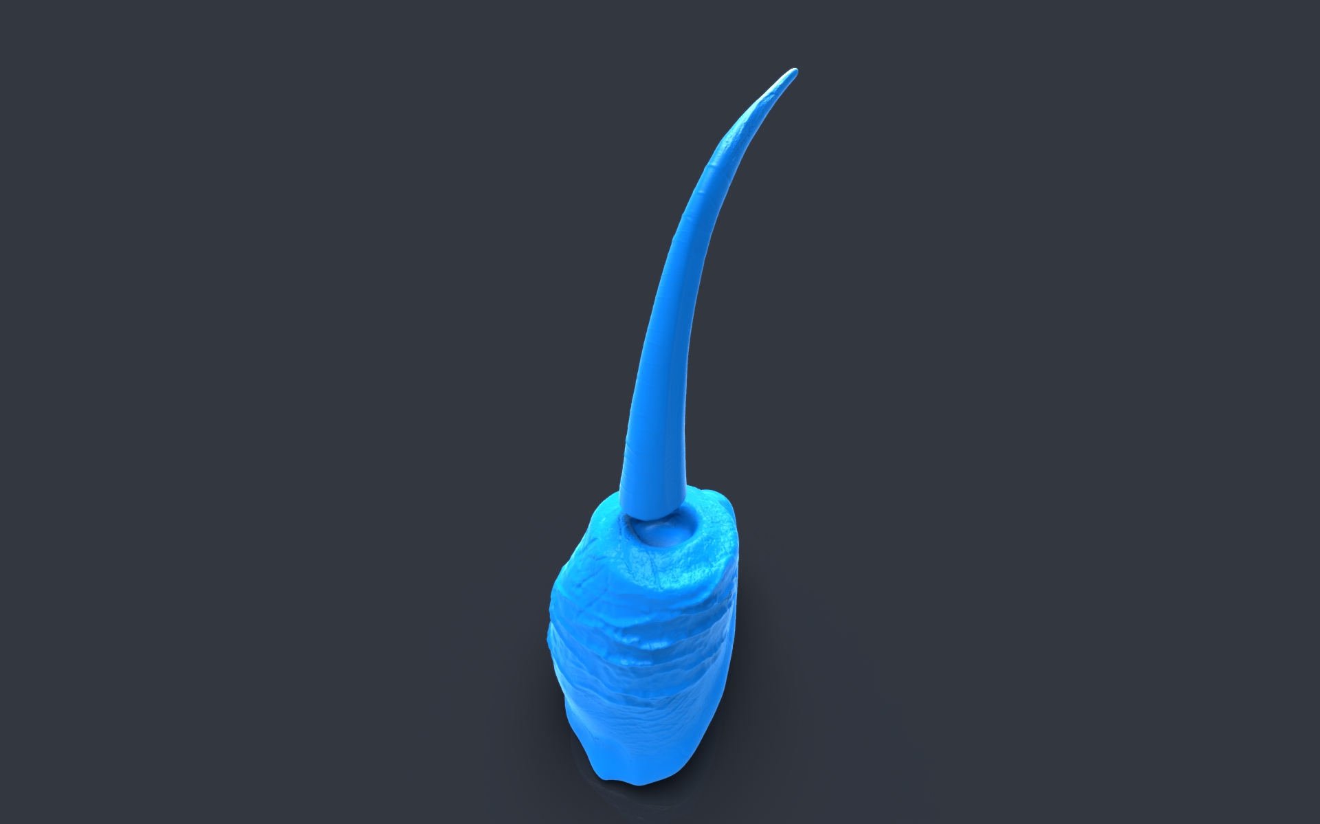 OBJ file Star wars legion felucian sarlacc teeth ⭐ ・3D printable design ...