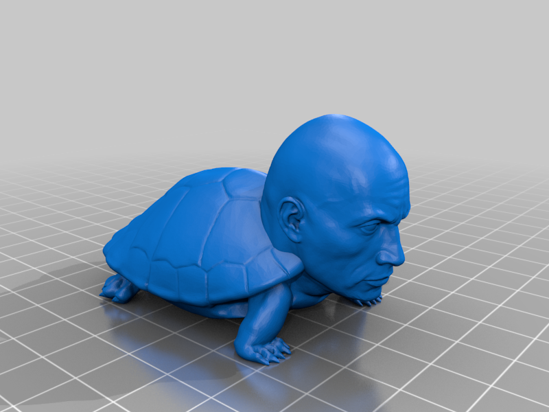Free 3D file Rockaturtle 🪨 ・3D printer design to download・Cults