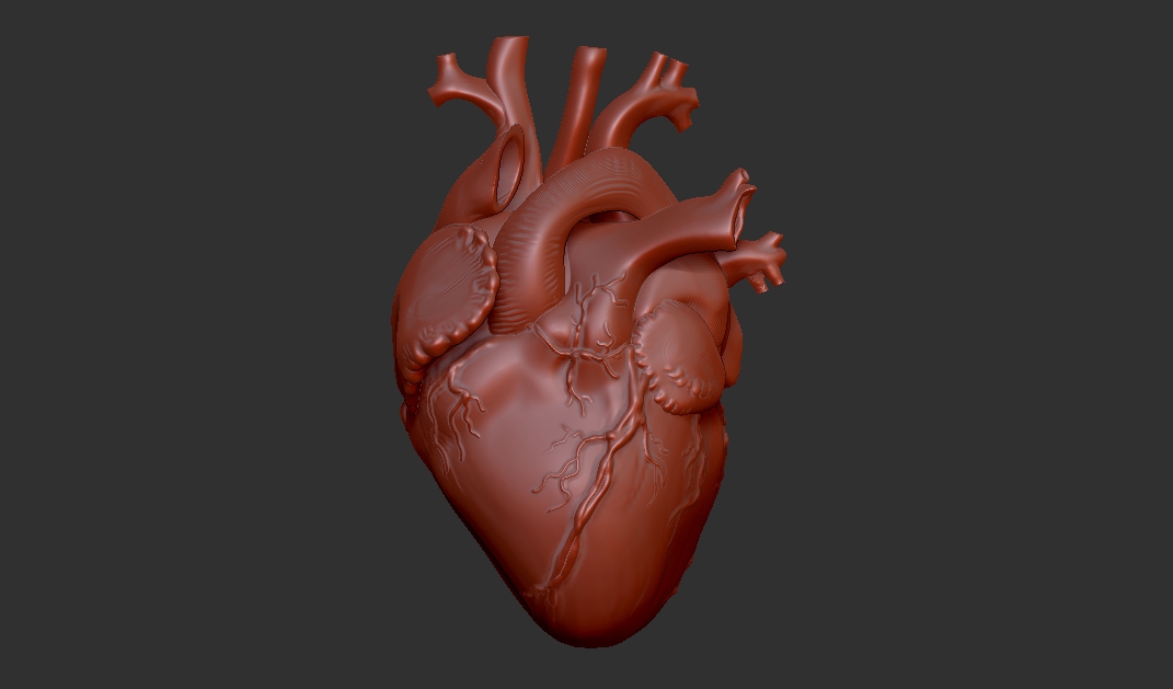 Archivo STL CORAZÓN 🔝 ・Plan para descargar y imprimir en 3D・Cults