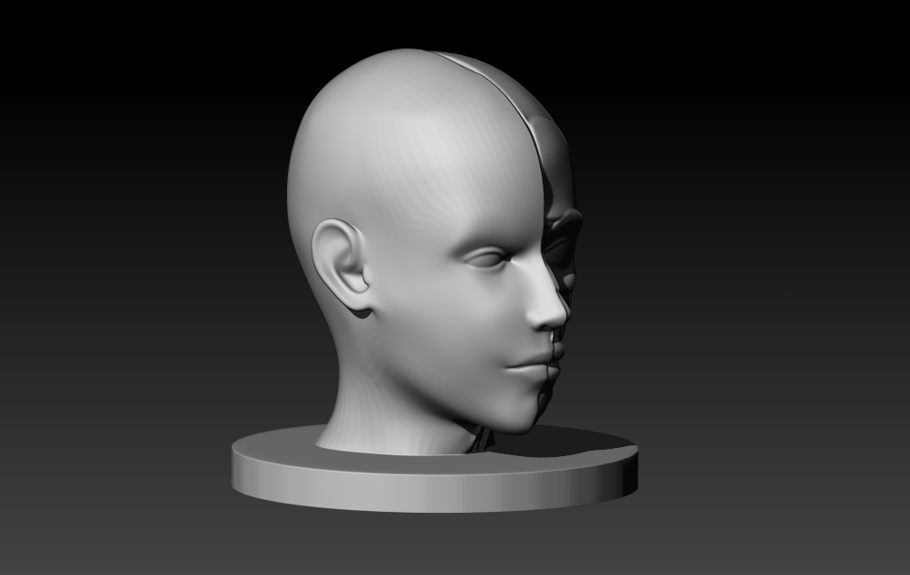 Free STL file Head Muscle Anatomy 👹 (OBJ)・3D print model to download・Cults