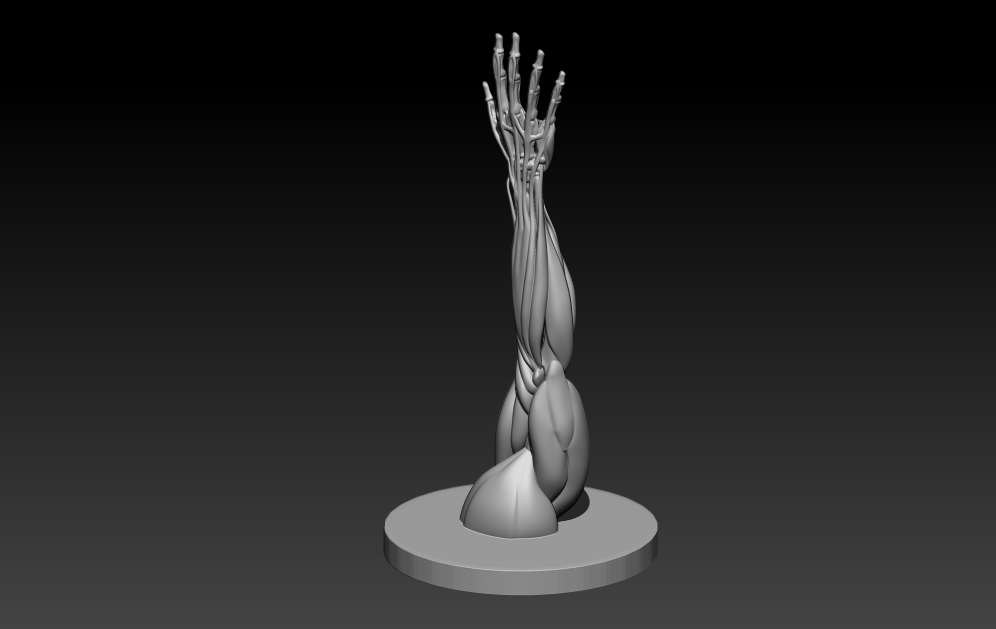 Arquivo grátis STL Human Arm Anatomy (Male) 💪 (OBJ)・design de impressão ...