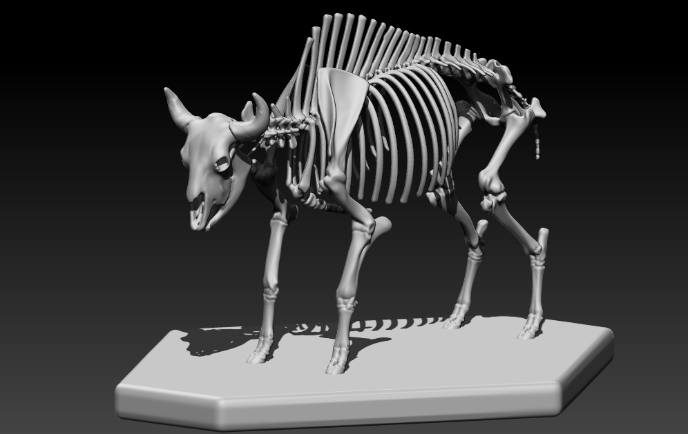Free STL file Wild Bull Bone Structure 🐂・3D print model to download・Cults