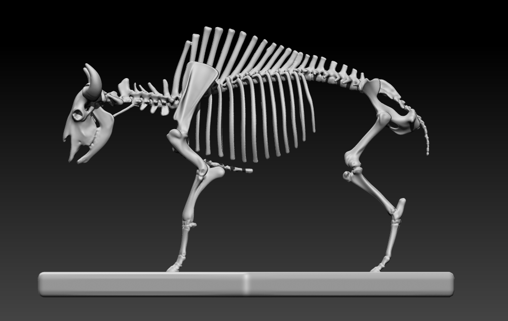 Free STL file Wild Bull Bone Structure 🐂・3D print model to download・Cults