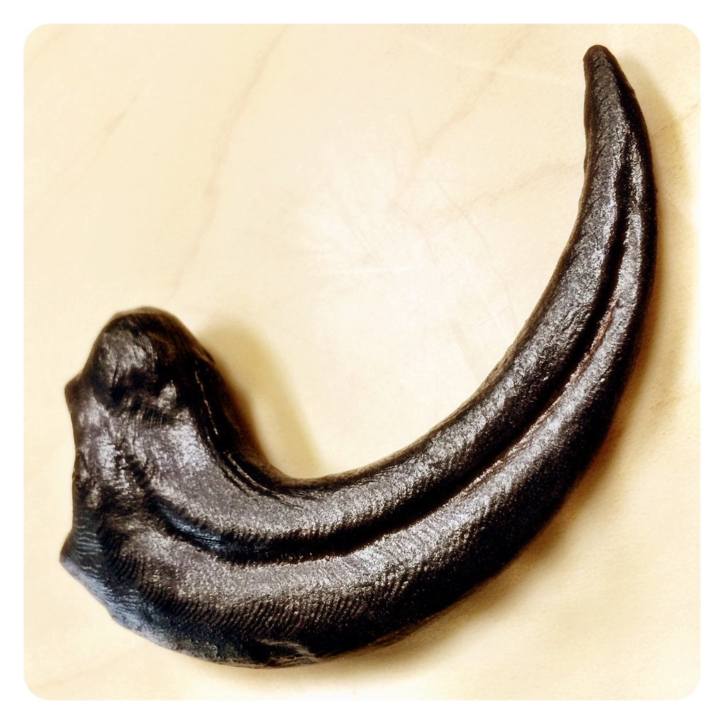 3D print Velociraptor dinosaur claw・Cults