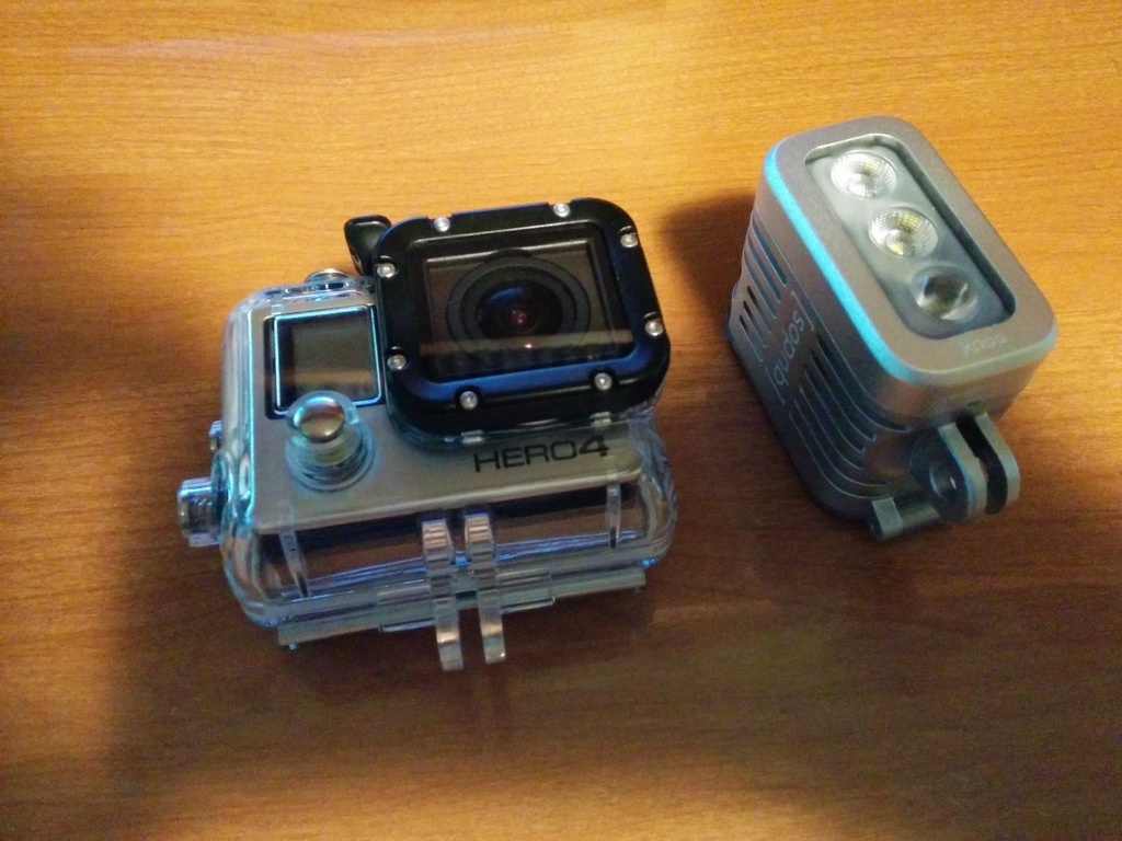 Free 3D file Dual GoPro Dive Tray 🤿・Design to download and 3D print・Cults