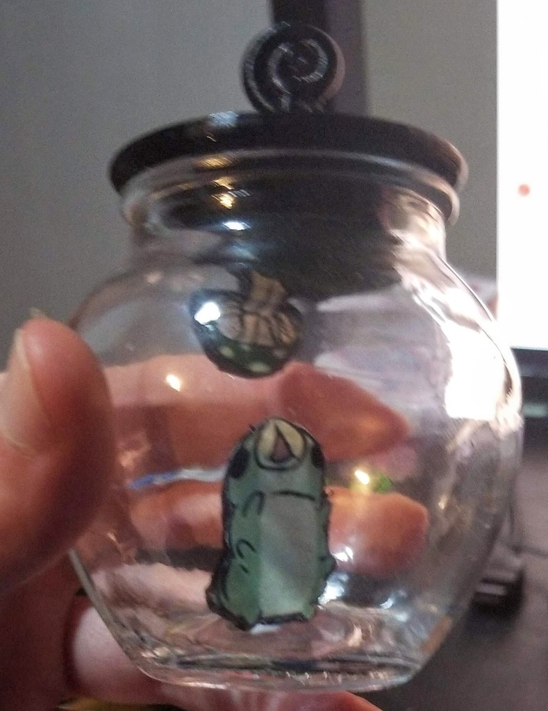 Free 3D file Hollow Knight Grubs in Jar Collection 🫙 ・3D printing model ...