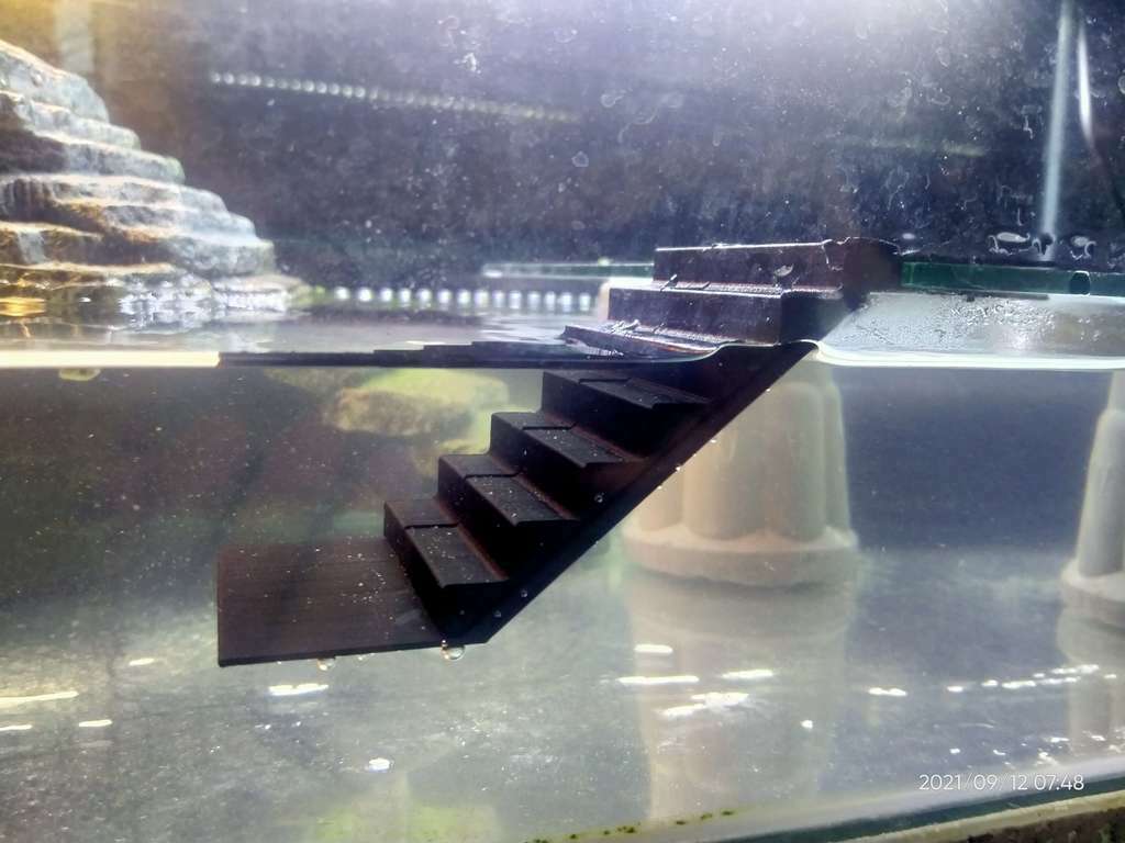 🐢 Clip on Turtle Ramp and Staircase・Free 3D File for ・Cults