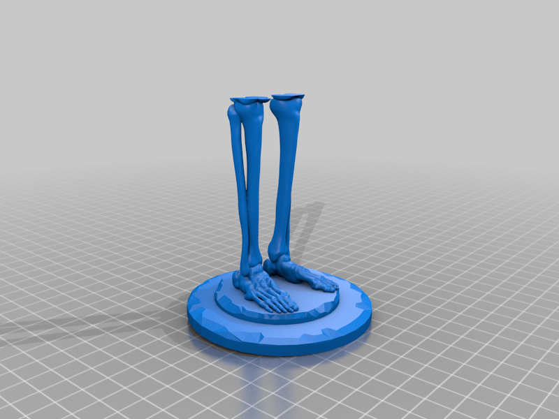 Free 3D file SKELETON COLLECTION 💀・3D printing model to download・Cults