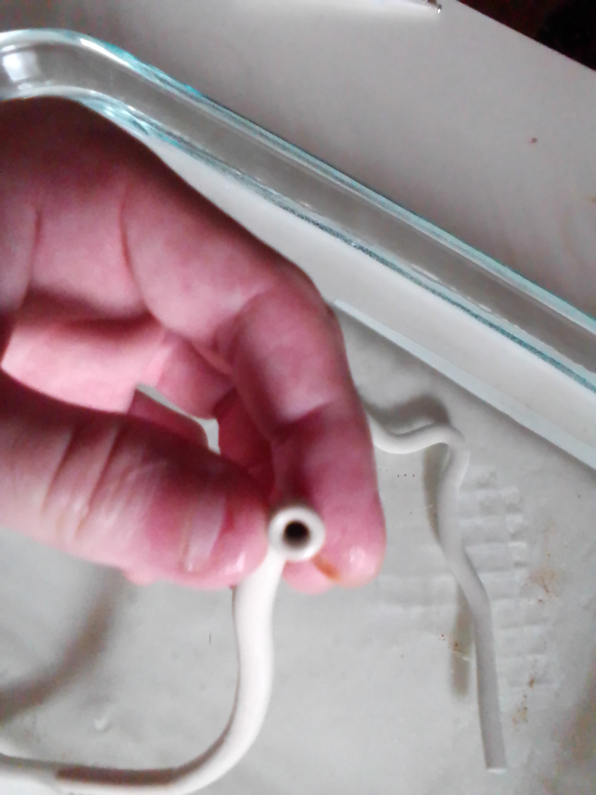 STL file Tube maker 🔧 ・3D print model to download・Cults