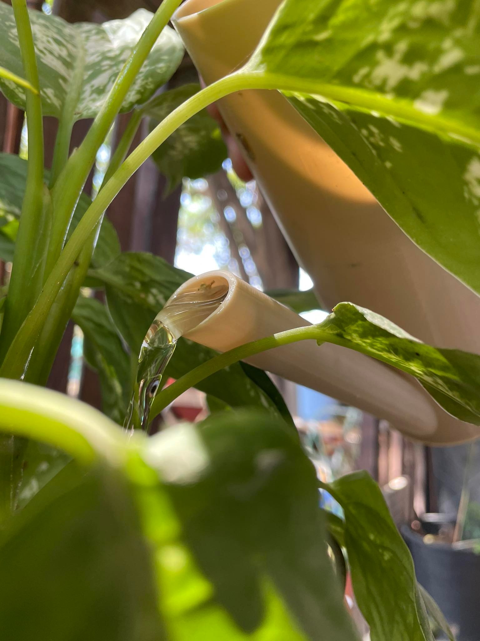 STL file Simple Funnel For Plants 🏠 ・3D printer model to download・Cults