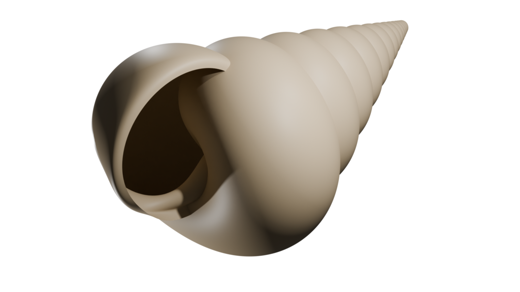 Free 3D file seashell keychain - Llavero caracola 🗝️ ・3D printing model ...