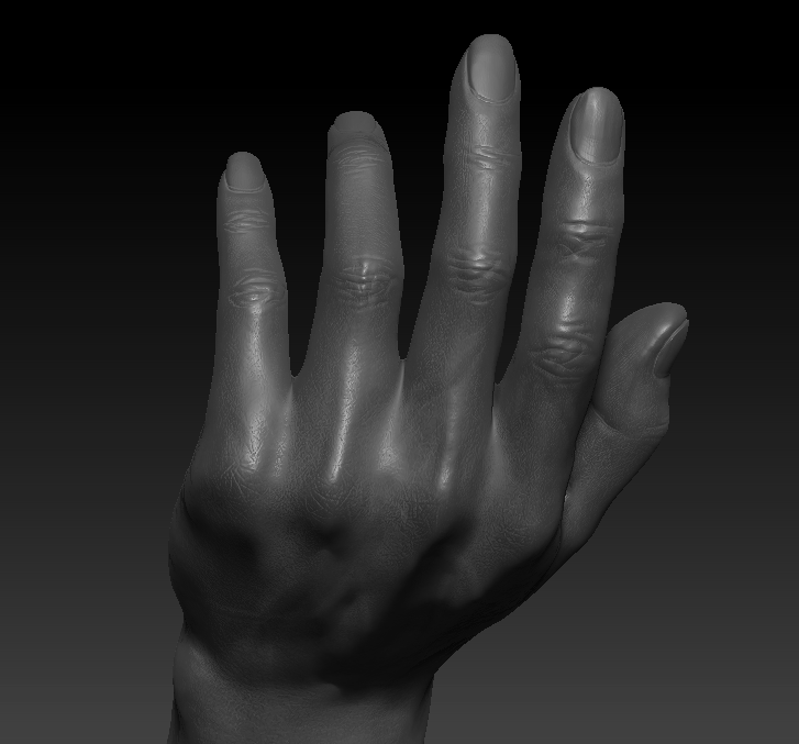 💪 human arm・ OBJ File for ・Cults