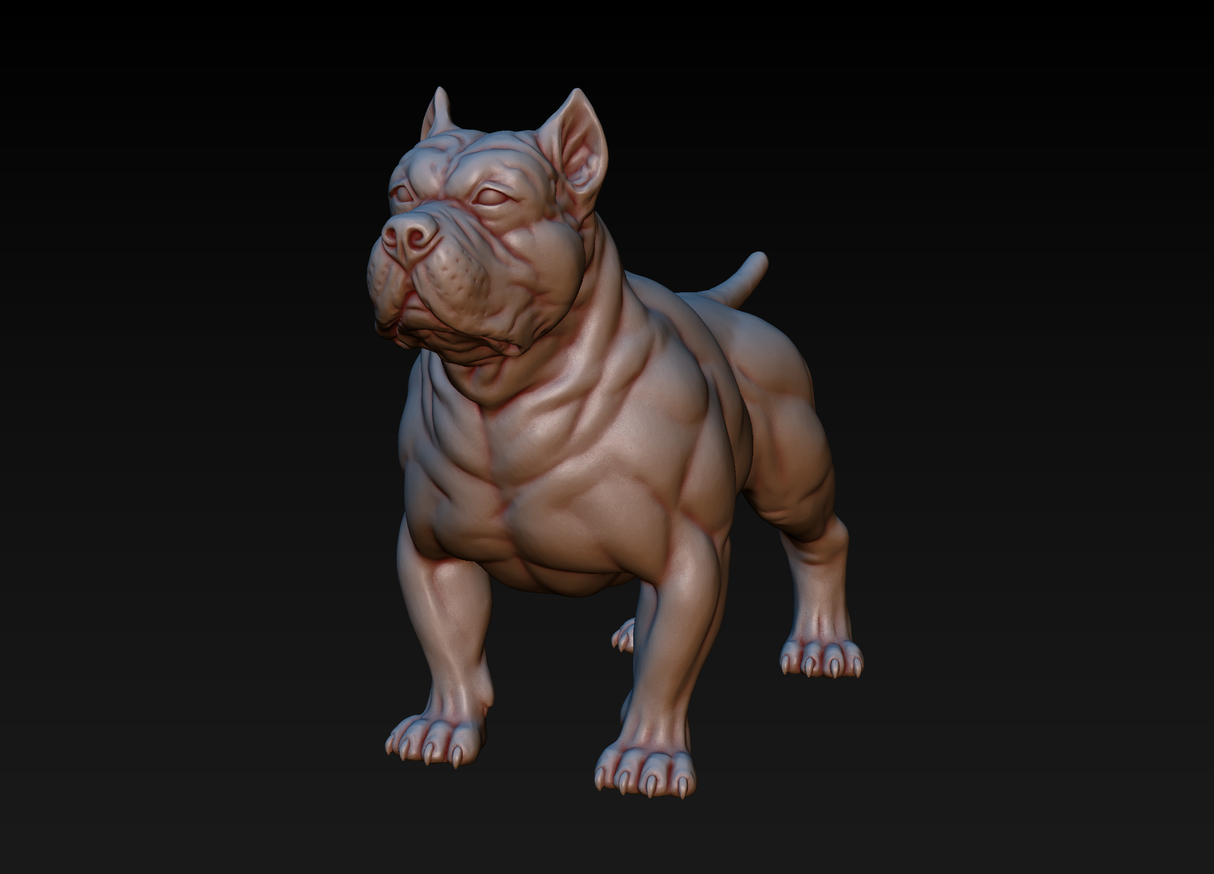 STL file American Bully 🐕 (OBJ)・Model to download and 3D print・Cults