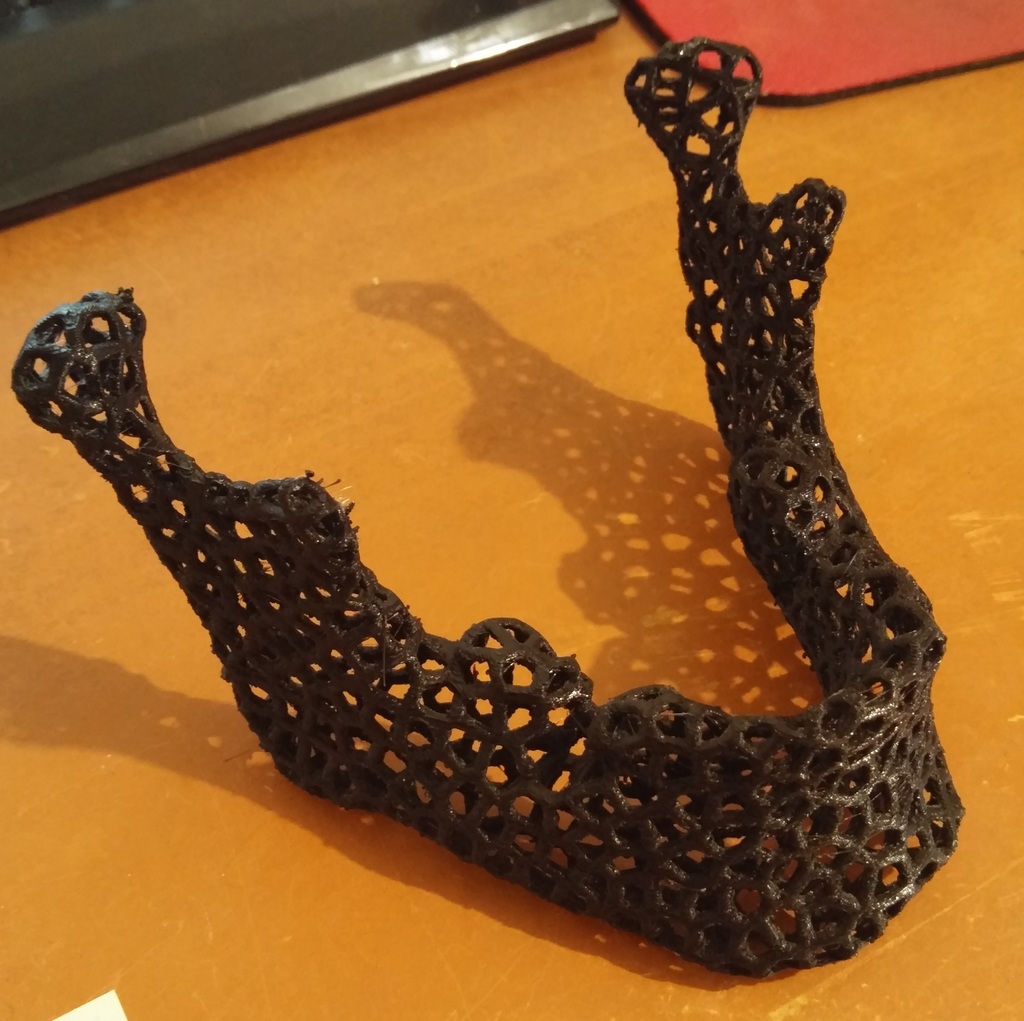 🏢 Voronoi Mandible Card Holder (4 bases)・Free 3D File for ・Cults