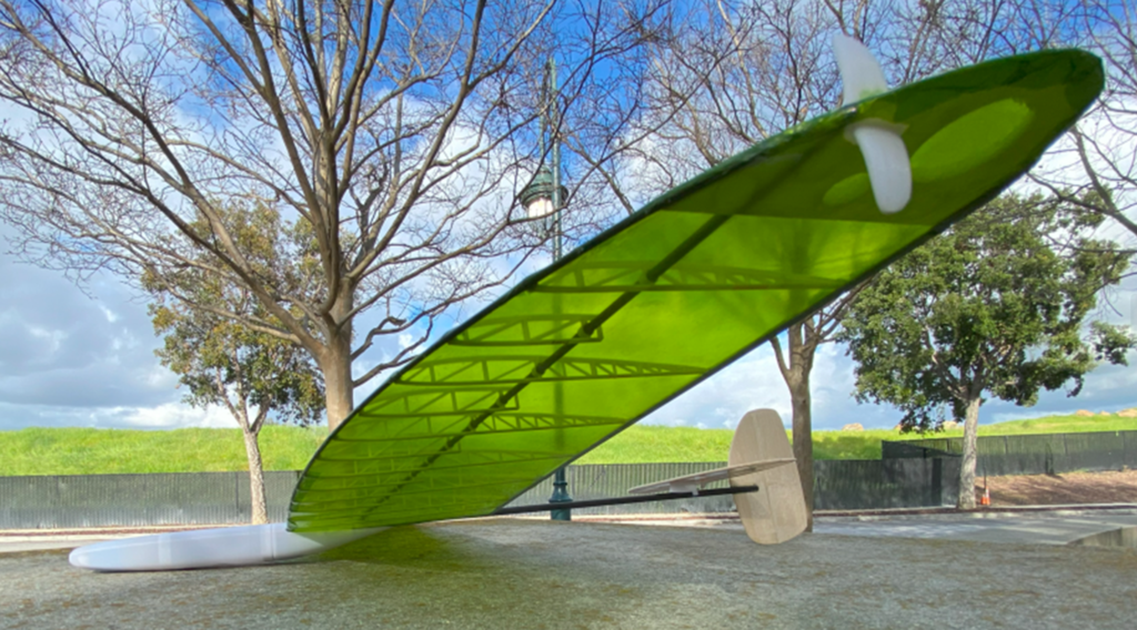 Free 3D file BUG 3DP - A 3D PRINTED "LIGHTNIN' BUG" DLG 🐛・3D printing ...