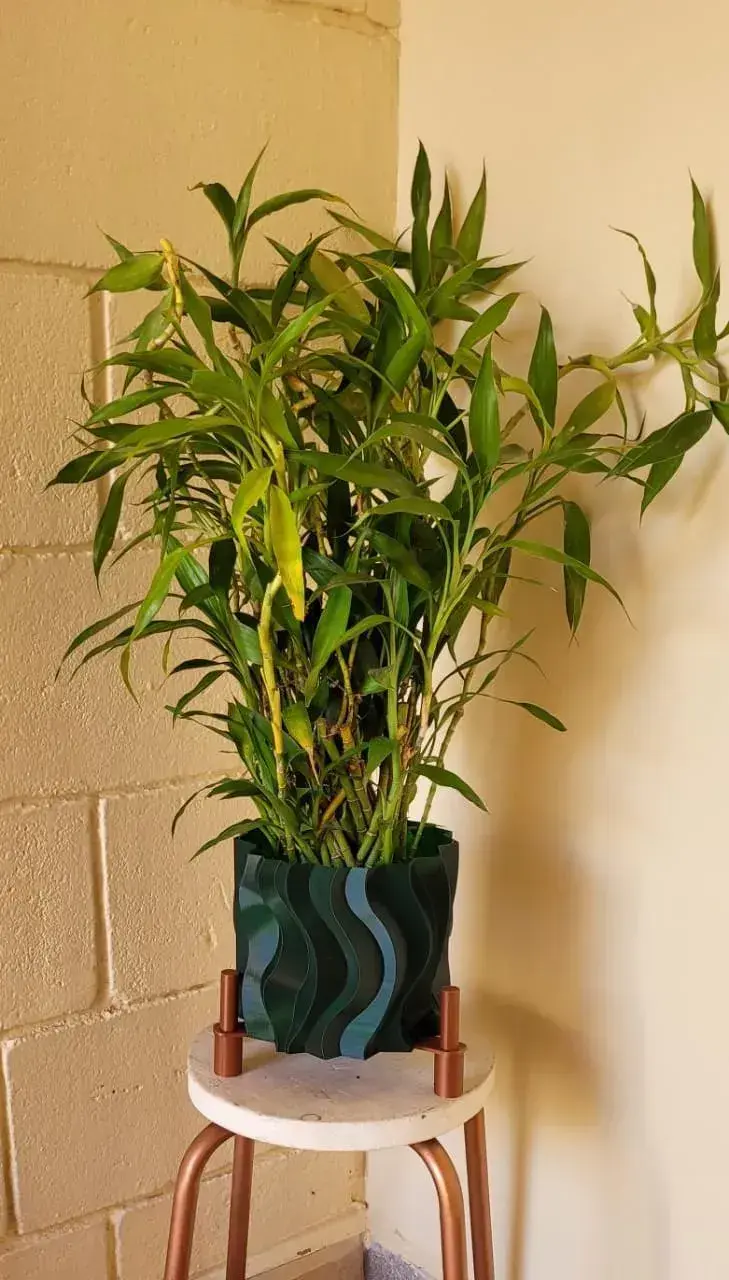 Free 3D file Base for Distortion 2 Pot and Planter for your House ...