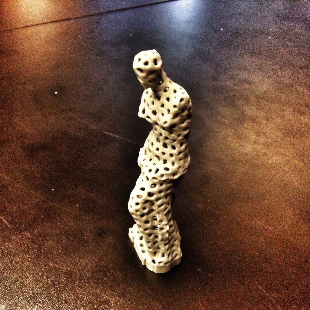 3D printed Voronoi Experiment No:11 Venus De Milo・Cults
