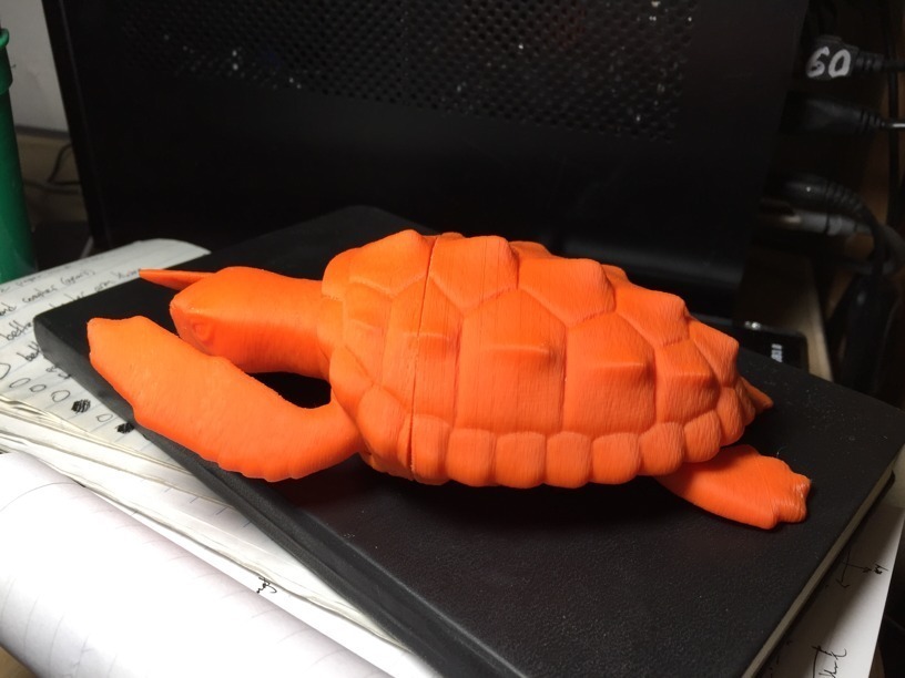 3D printable Loggerhead Sea Turtle (poseable)・Cults
