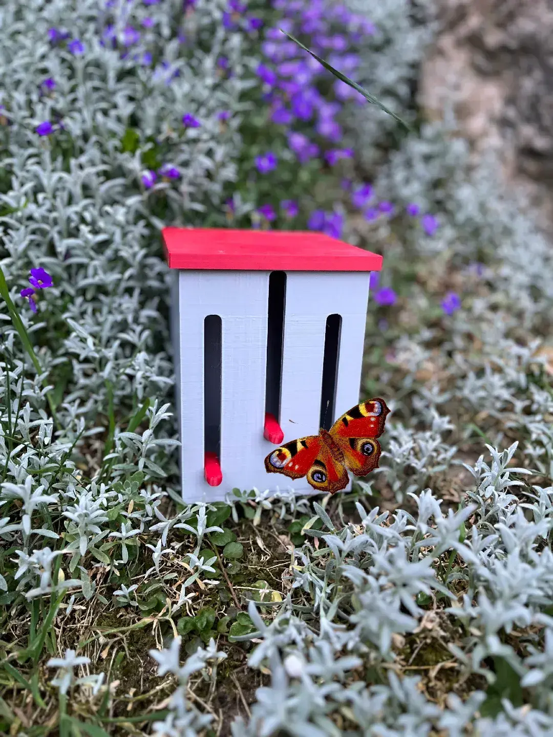 🦋 Butterfly Hostel・Free 3D File for ・Cults