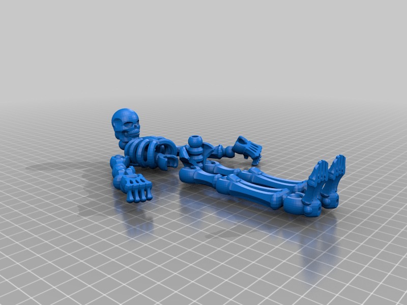 Free 3D file Human Skeleton 💀 ・3D printable model to download・Cults