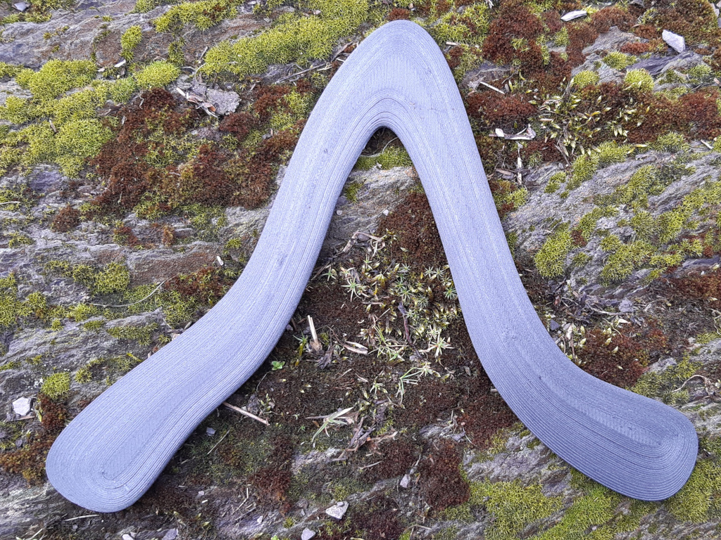Free 3D file Fuzzilicious Boomerang 🪃・3D printable object to download・Cults
