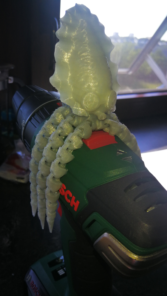 3D print Articulated Octopus / Cuttlefish by Onasiis・Cults