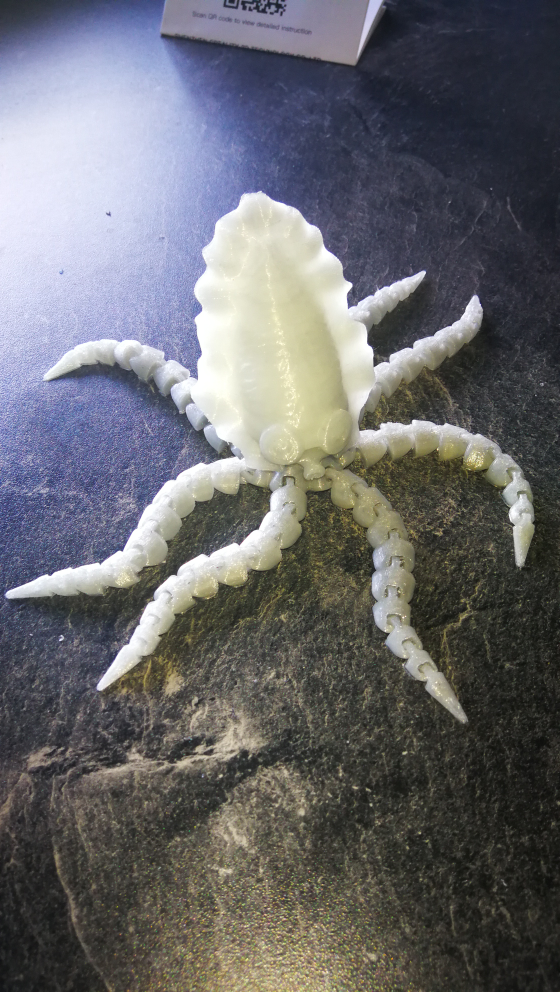 3D print Articulated Octopus / Cuttlefish by Onasiis・Cults